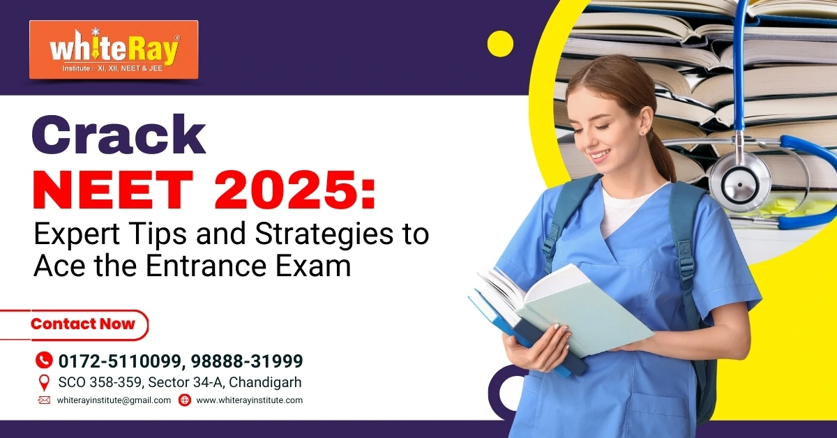 Insider Strategies to Excel in NEET 2025: WhiteRay Institute